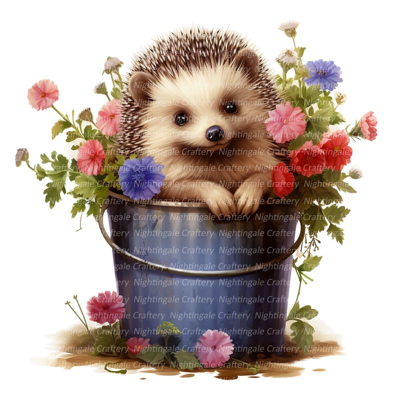 Cute Hedgehog Clipart Printable Watercolor Clipart 10 High - Etsy