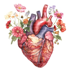 12 Floral Human Heart Clipart, Anatomical Heart, Printable Watercolor ...
