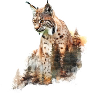 10 Lynx Wall Art, Bobcat Photo, Printable Wall Art, High Quality Jpgs ...