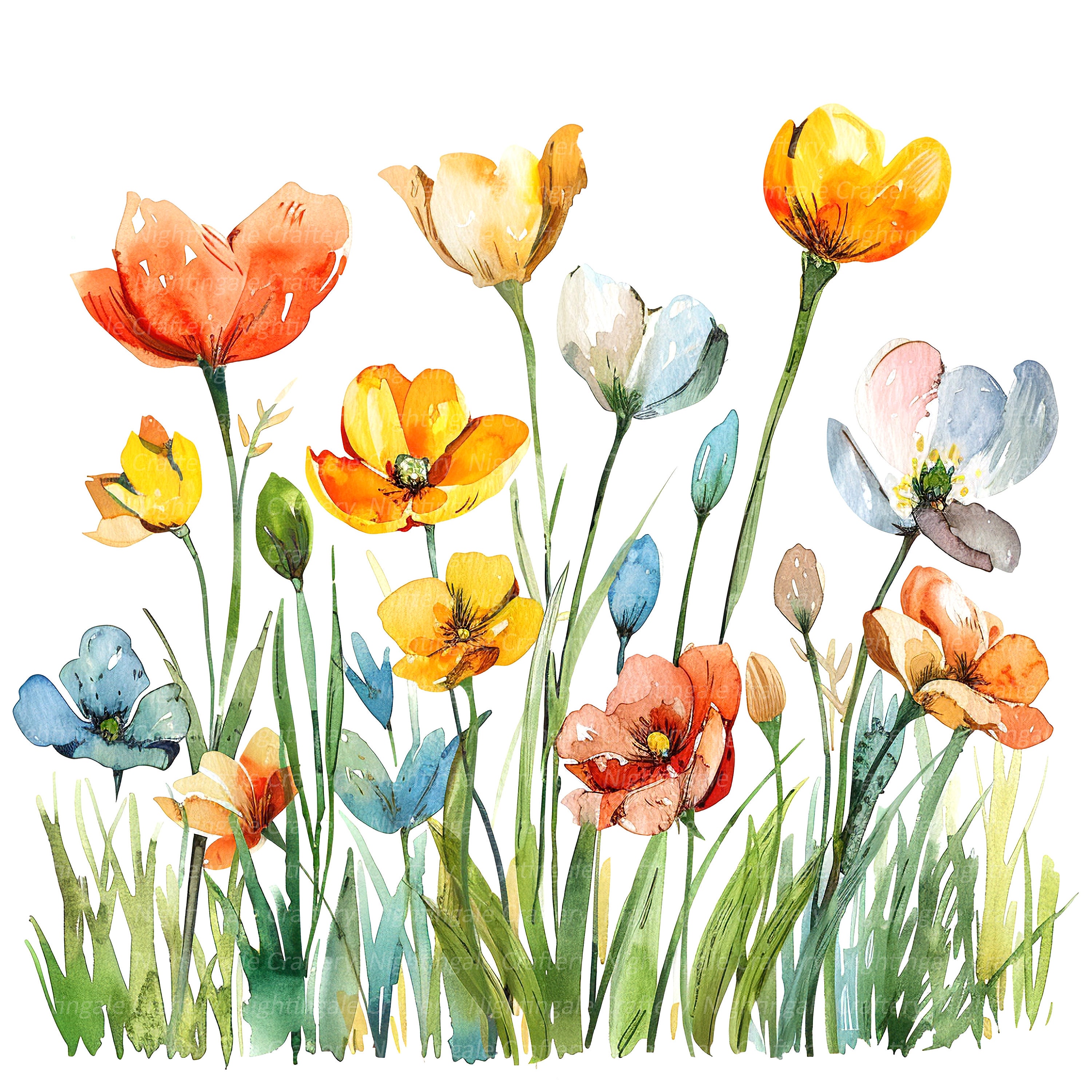 10 Spring Flowers Clipart, Tulips Clipart, Printable Watercolor Clipart ...
