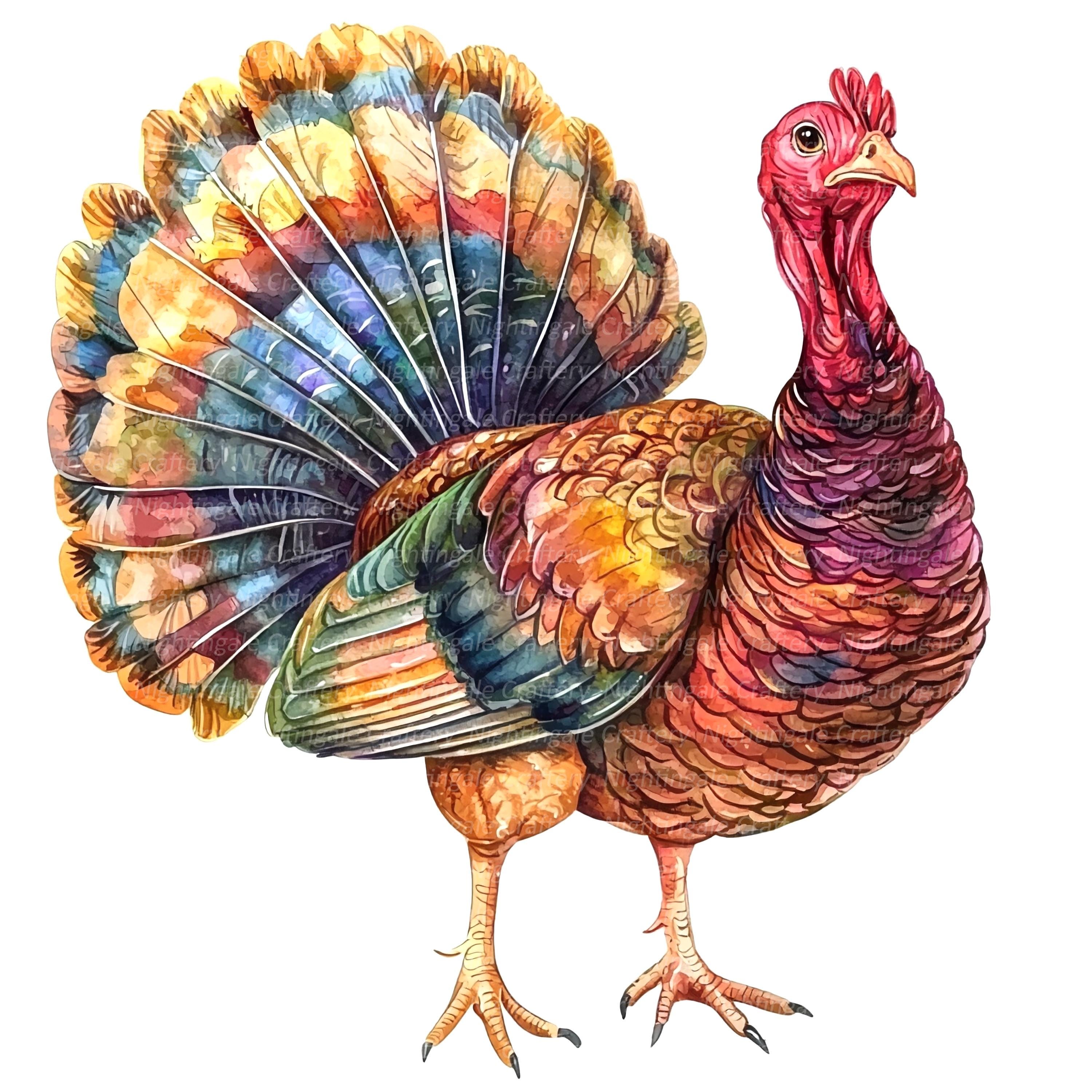 10 Thanksgiving Turkey Clipart, Thanksgiving Print, Printable ...