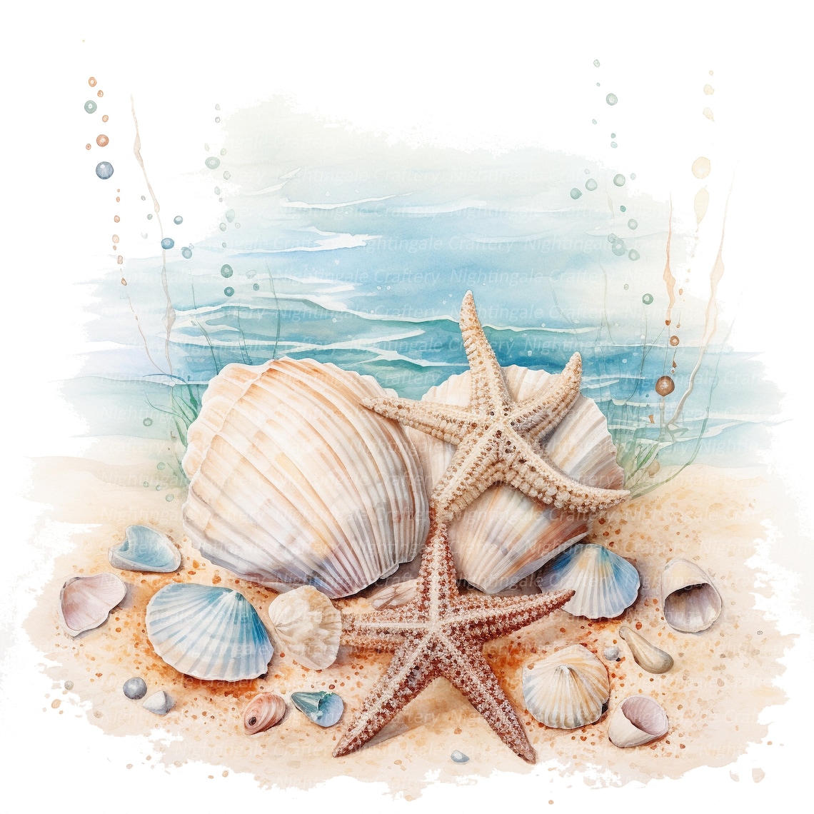 12 Muscheln Clipart, Muschel Clipart, druckbare Aquarell Clipart, PNG ...