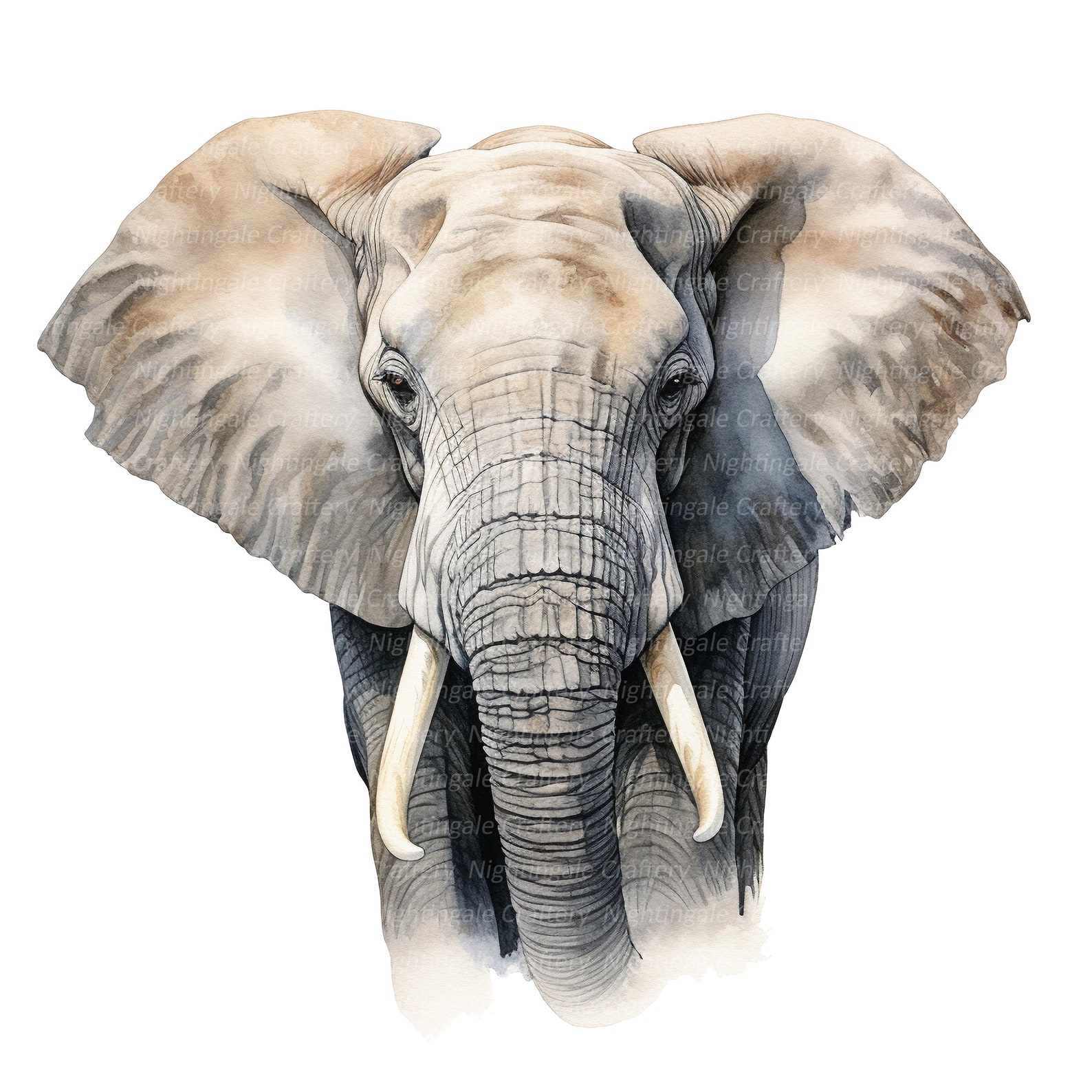 10 Elephant Clipart Watercolor Elephant Printable Watercolor - Etsy