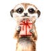 10 Meerkat With Gift Clipart, Birthday Card, Printable Watercolor ...