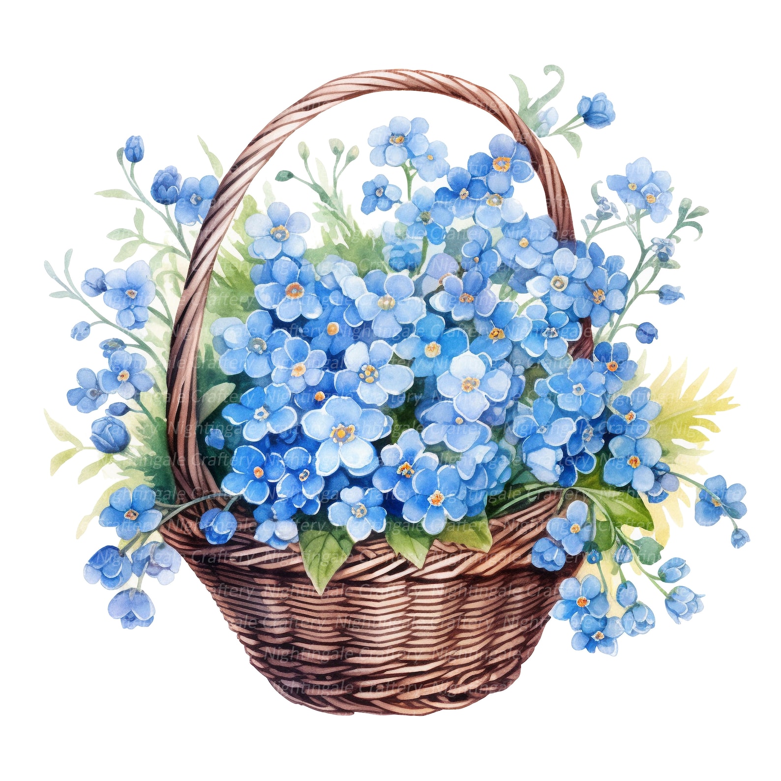 8 Forget Me Not Clipart Forget-me-not Basket Printable - Etsy