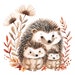 9 Hedgehog Family Cartoon Clipart, Boho Hedgehog, Printable Watercolor ...
