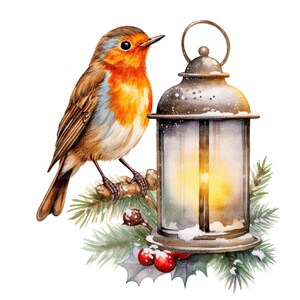 12 Christmas Robin and Lantern Clipart, Printable Watercolor Clipart ...