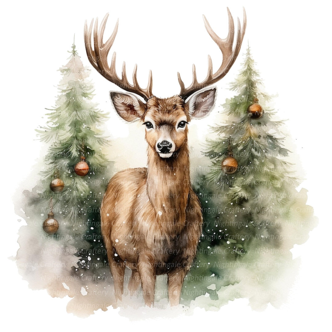 14 Christmas Deer Clipart, Reindeer, Elk, Printable Watercolor Clipart ...