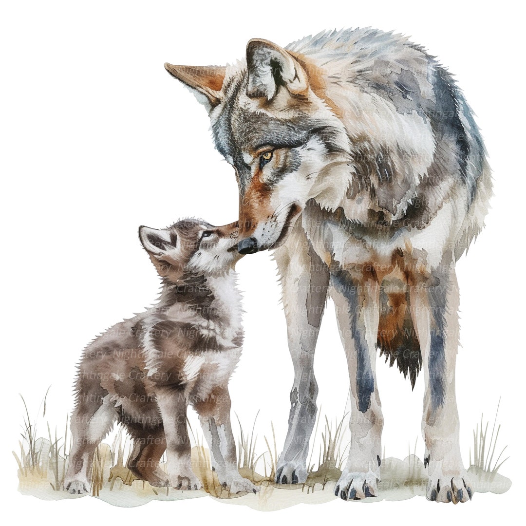 8 Wolf and Baby Wolf Clipart, Little Wolf Cub, Printable Watercolor ...