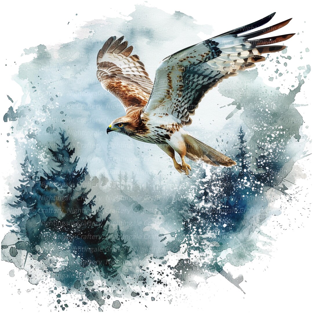 10 Hawk Snow Forest Clipart, Watercolor Hawk, Printable Watercolor ...