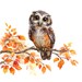8 Autumn Owl Clipart, Cute Owl Clipart, Digital Clipart, Watercolor ...