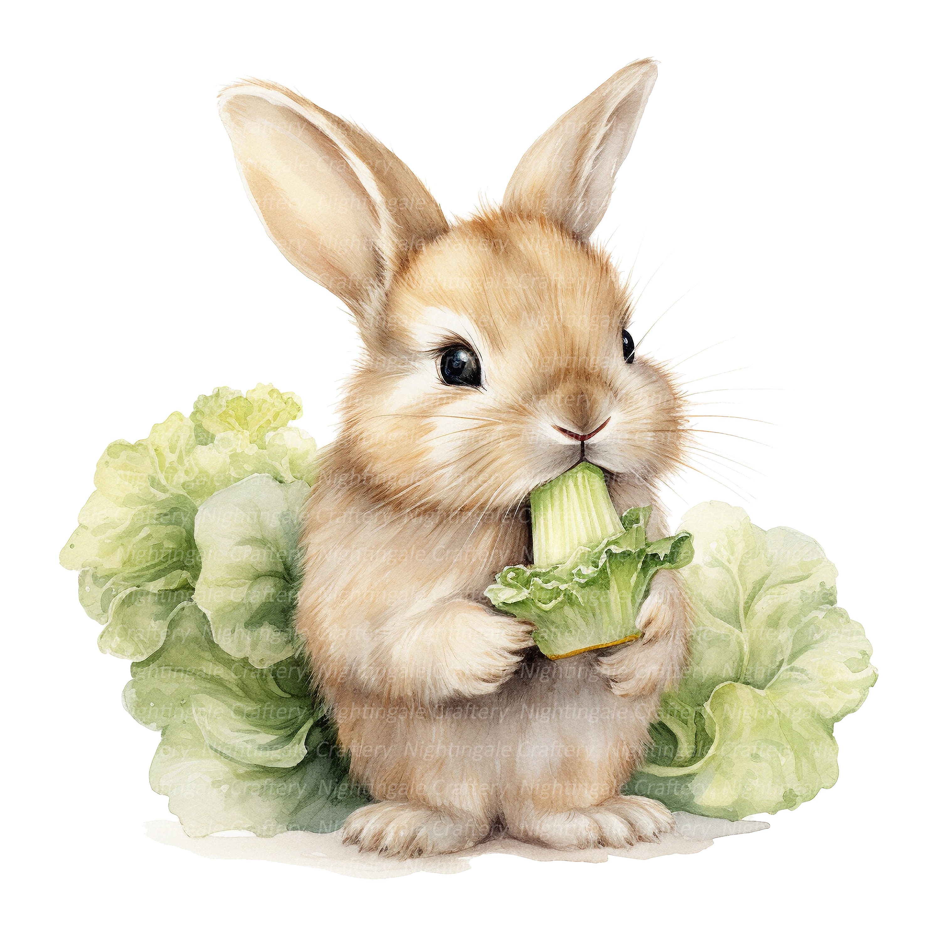 12 Fluffy Bunny Clipart Set 2, Rabbit Clipart, Printable Watercolor ...