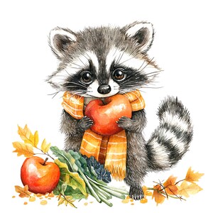 12 Harvest Raccoon Clipart, Thanksgiving Clipart, Printable Watercolor ...