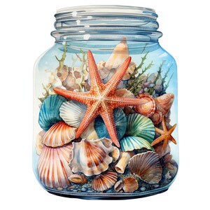 9 Seashells in Jar Clipart, Sea Shells Clipart, Printable Watercolor ...