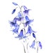12 Bluebells Clipart, Watercolor Bluebells, Printable Watercolor ...