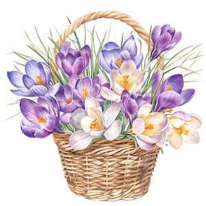 16 Spring Flowers Basket Clipart, Floral Basket, Printable Watercolor ...