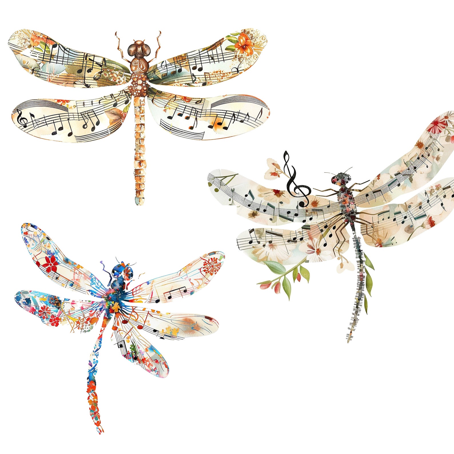 14 Dragonfly Music Notes Clipart, Wall Print, Printable Watercolor ...