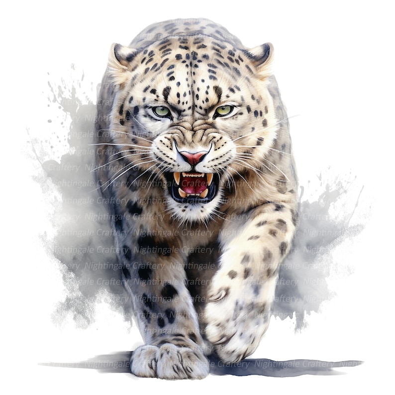 12 Snow Leopard Clipart Printable Watercolor Clipart 12 High - Etsy