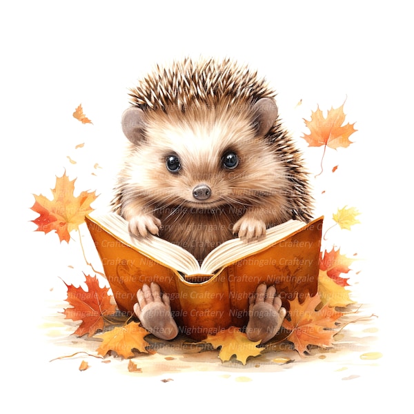 Hedgehog Journal - Etsy