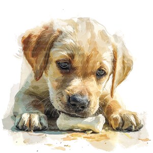 12 Puppy With Bone Clipart, Various Puppies, Printable Watercolor ...