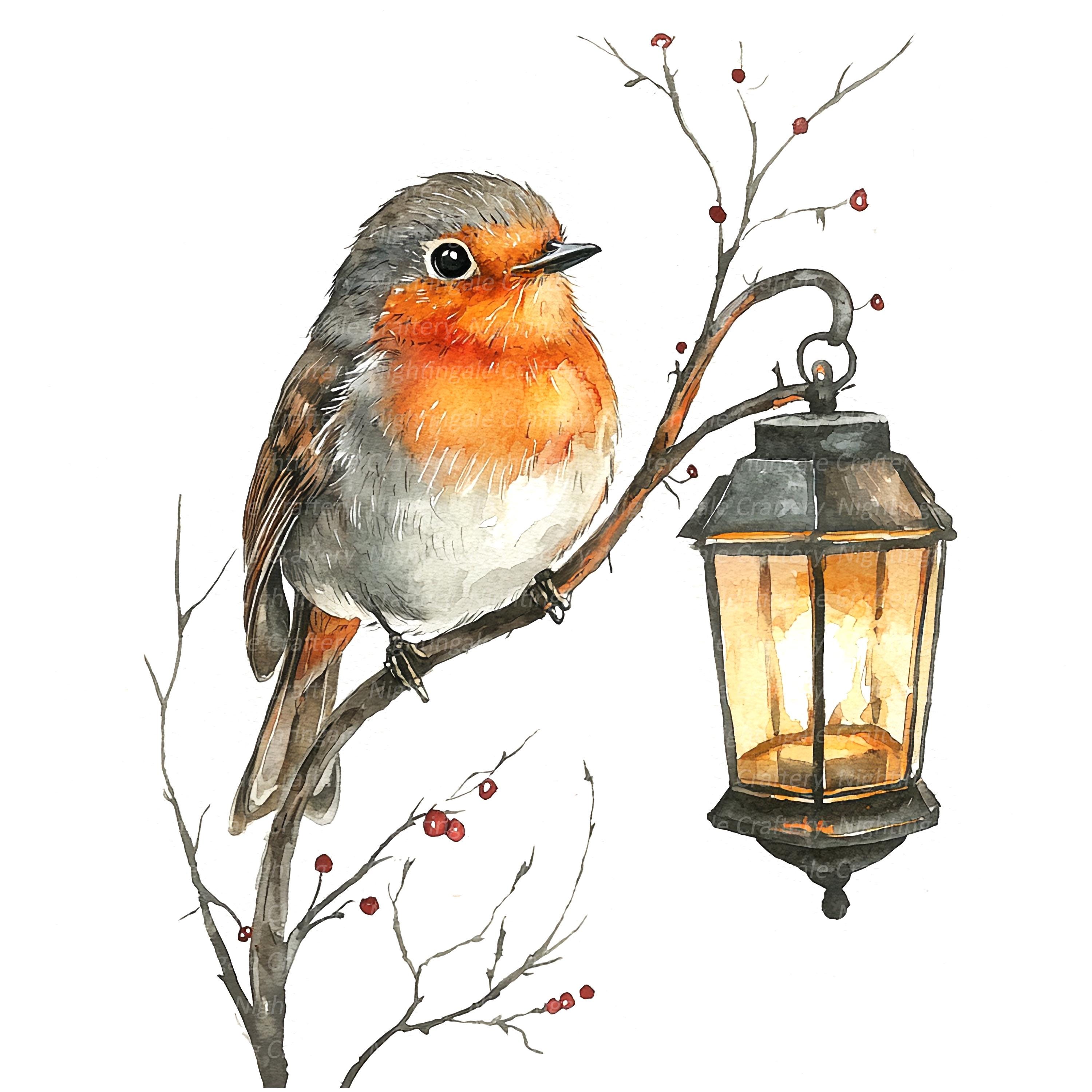 12 Robin and Lantern Clipart, Christmas Robin, Printable Watercolor ...