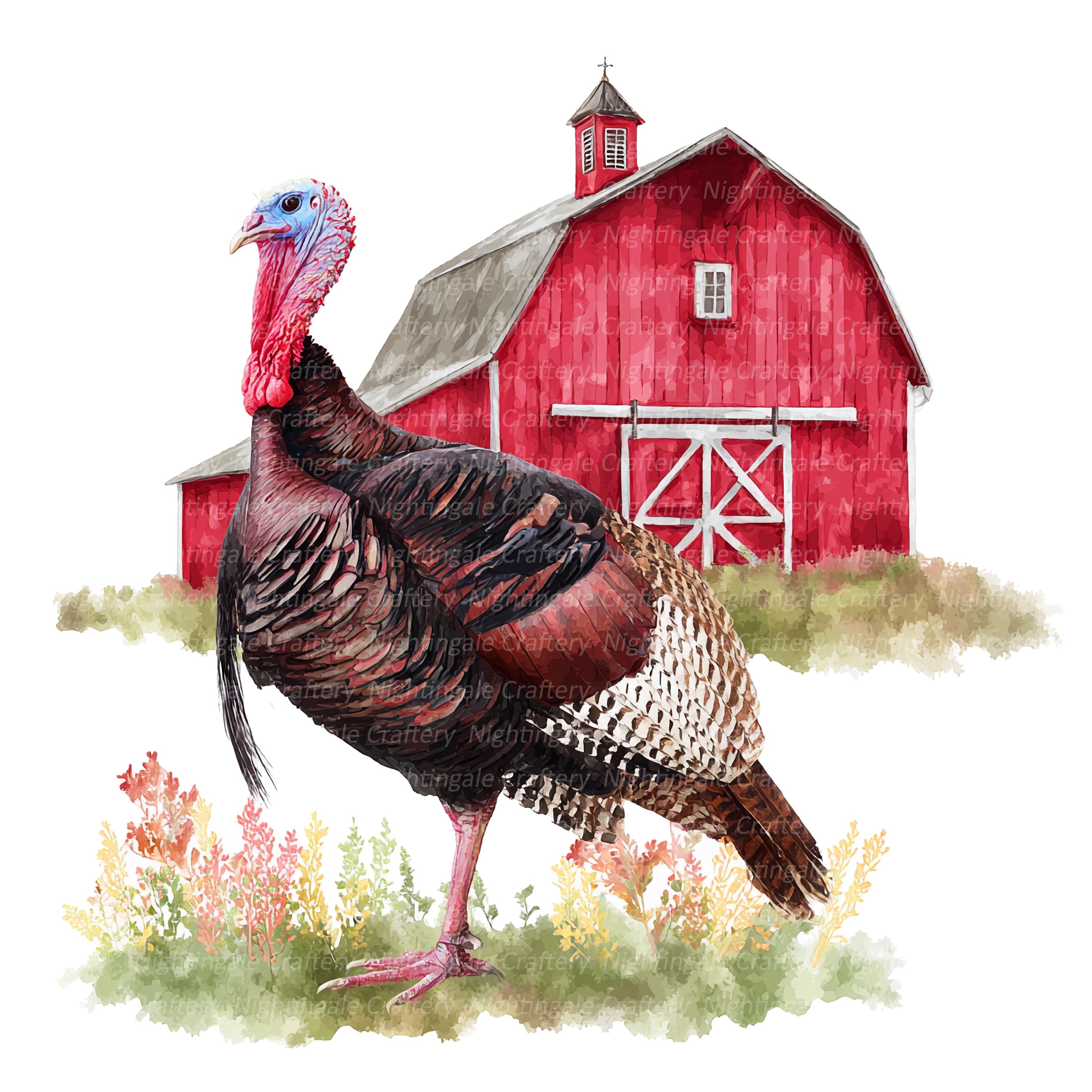 10 Thanksgiving Turkey Clipart, Thanksgiving Design, Printable ...