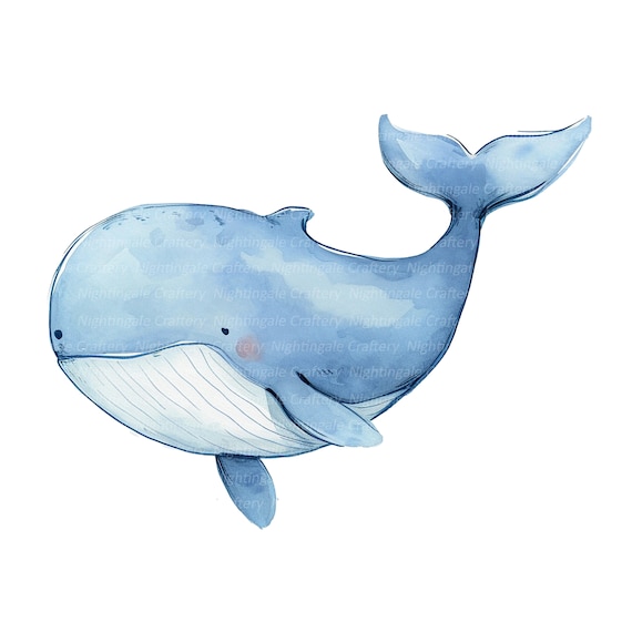 Ballena Fondo Transparente