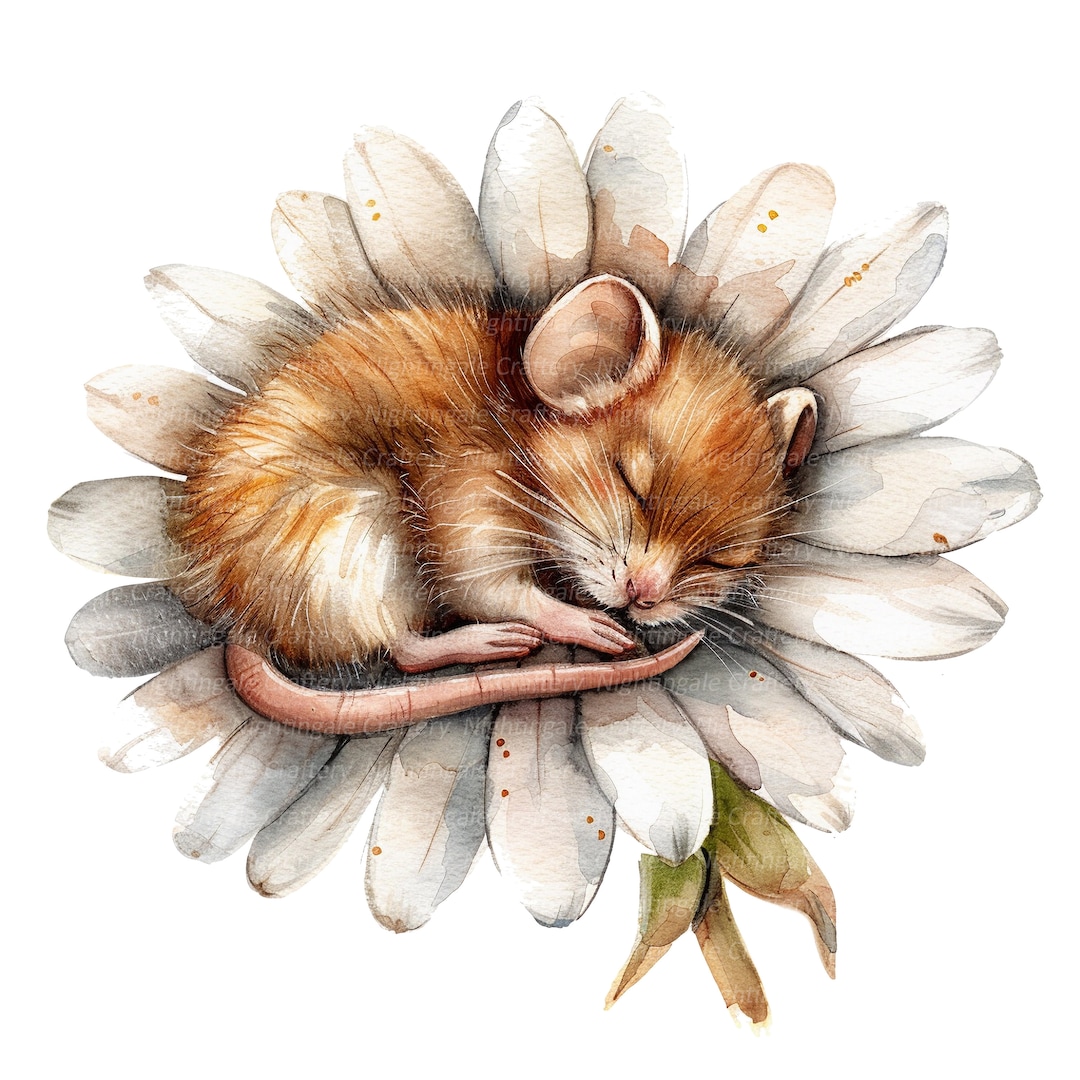 10 Sleeping Mouse Clipart, Mouse Nursery, Printable Watercolor Clipart ...