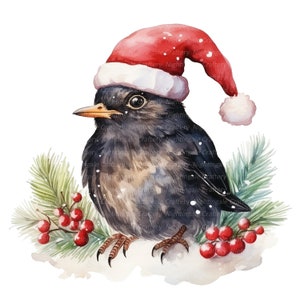 12 Christmas Blackbird Clipart, Black Bird, Printable Watercolor ...