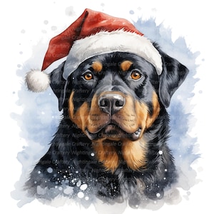 9 Rottweiler With Santa Hat Clipart, Printable Watercolor Clipart, High ...