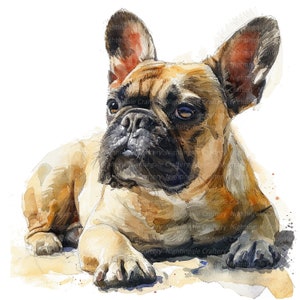 10 French Bulldog Clipart, Watercolor Bulldog, Printable Watercolor ...