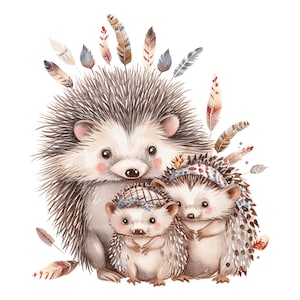 9 Hedgehog Family Cartoon Clipart, Boho Hedgehog, Printable Watercolor ...