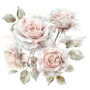 10 White Roses Clipart Set 2, Roses Bouquet, Printable Watercolor ...