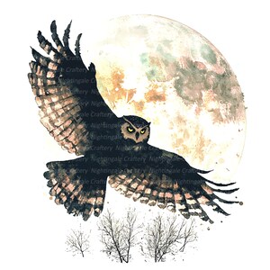 10 Owl in Moonlight Clipart, Owl Clipart, Printable Watercolor Clipart ...
