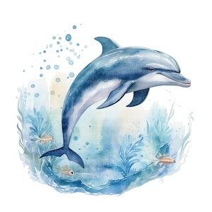 12 Dolphin Clipart, Dolphin Playing Clipart, Printable Watercolor ...