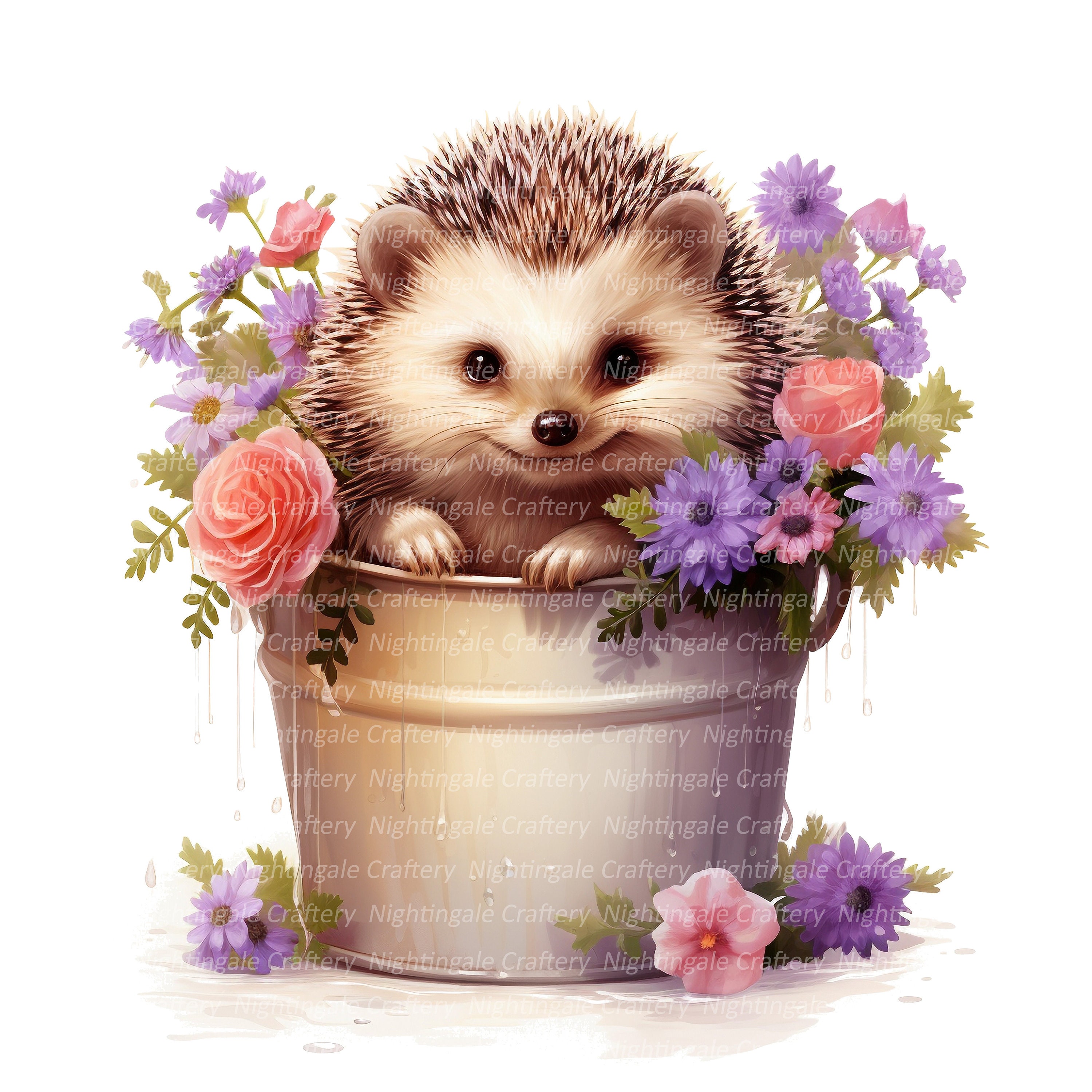Cute Hedgehog Clipart Printable Watercolor Clipart 10 High - Etsy UK