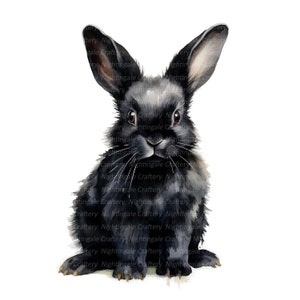 10 Black Bunny Clipart, Black Rabbit Clipart, Printable Watercolor ...