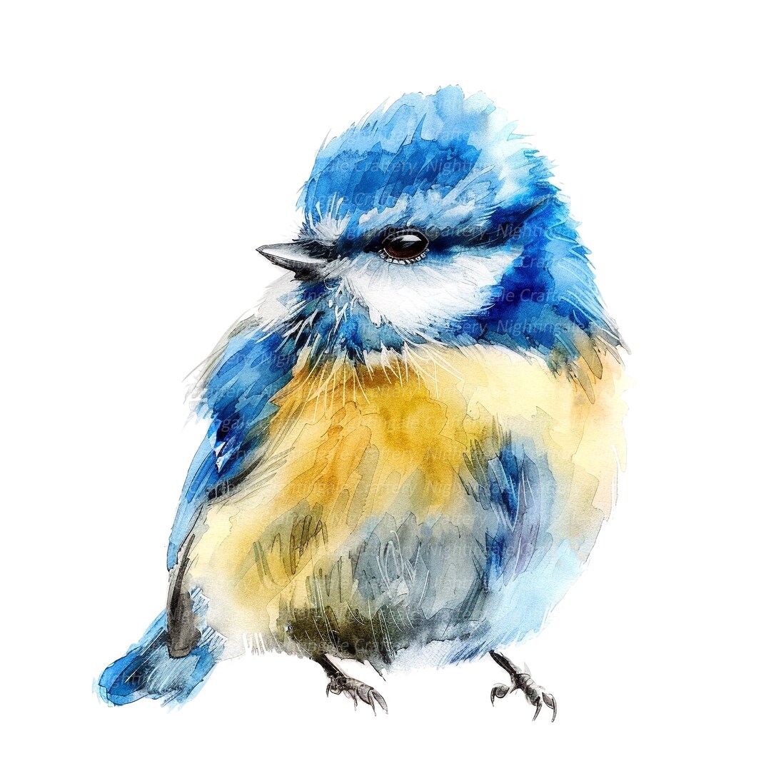 10 Blue Tit Bird Clipart Set 2, Eurasian Blue Tit, Printable Watercolor ...