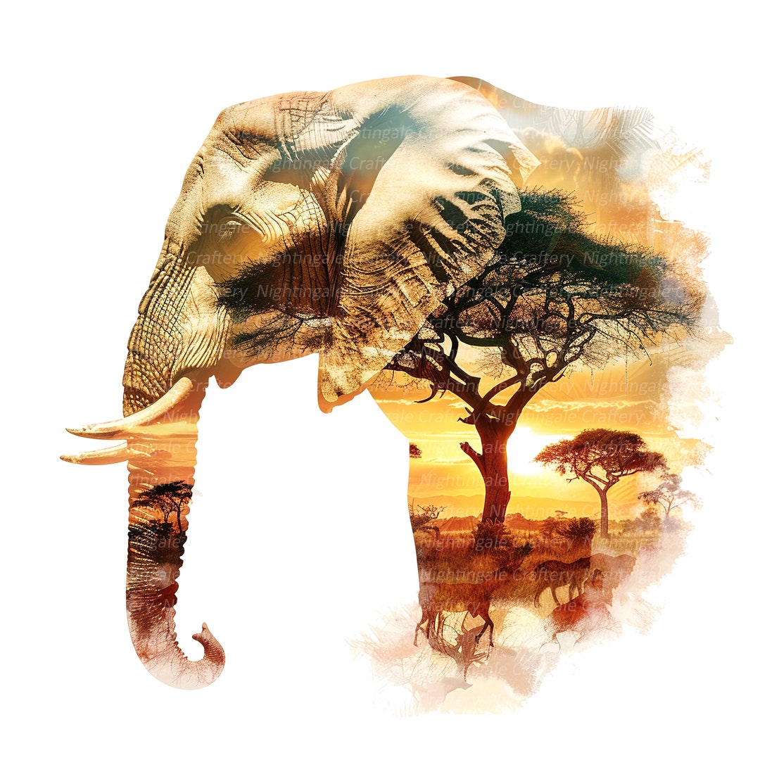 8 Elephant Wall Art, Elephant Photo, Printable Wall Art, High Quality ...