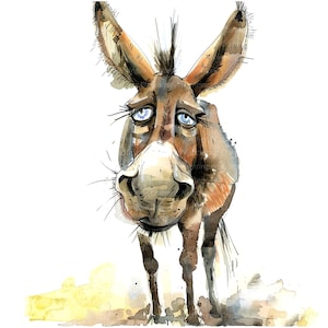 10 Cartoon Donkey Clipart, Grumpy Donkey, Printable Watercolor Clipart ...