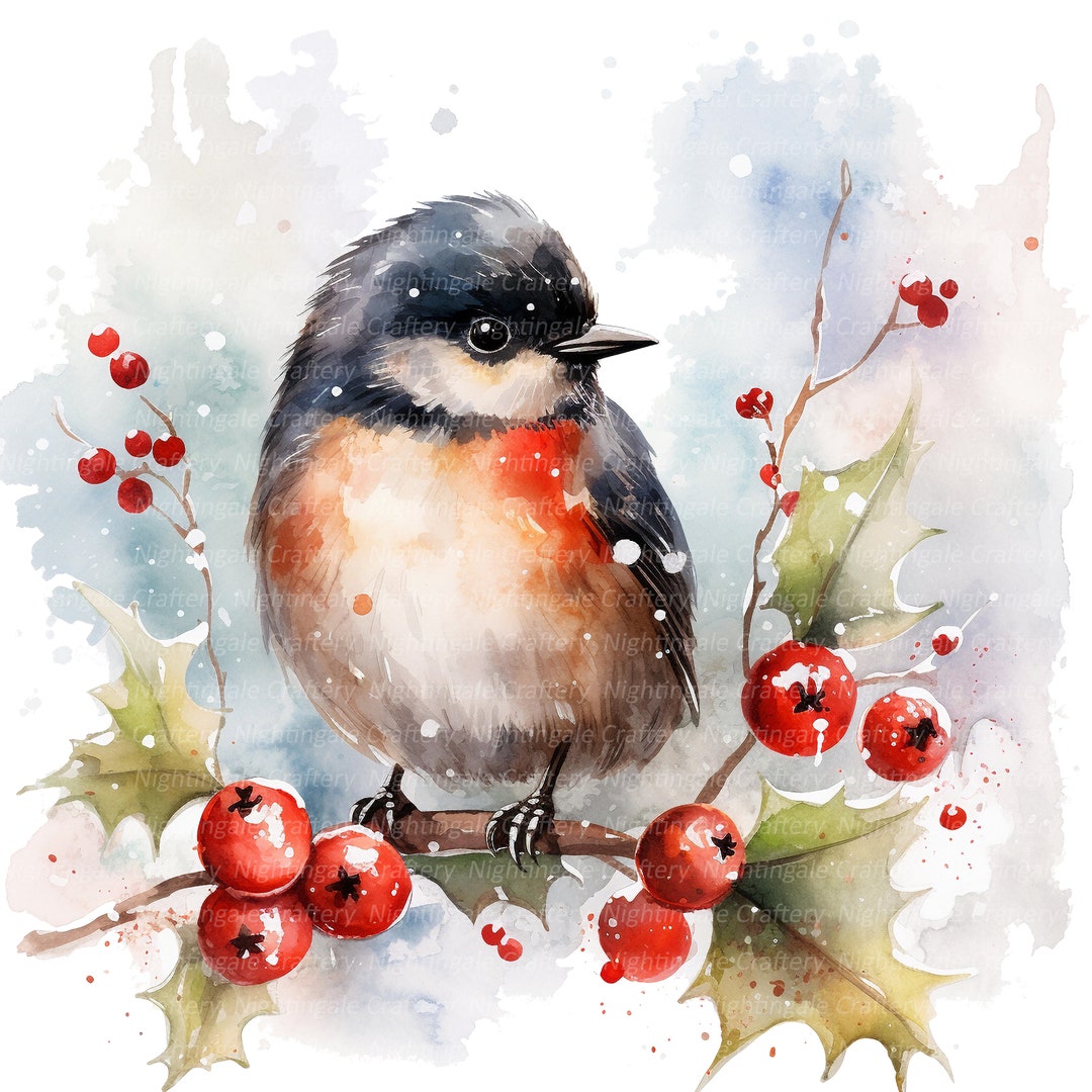 12 Special Christmas Robin Clipart, Printable Watercolor Clipart, High ...