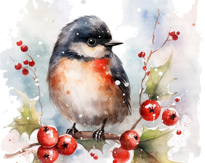 14 Christmas Robin Clipart, Robin Love, Printable Watercolor Clipart ...