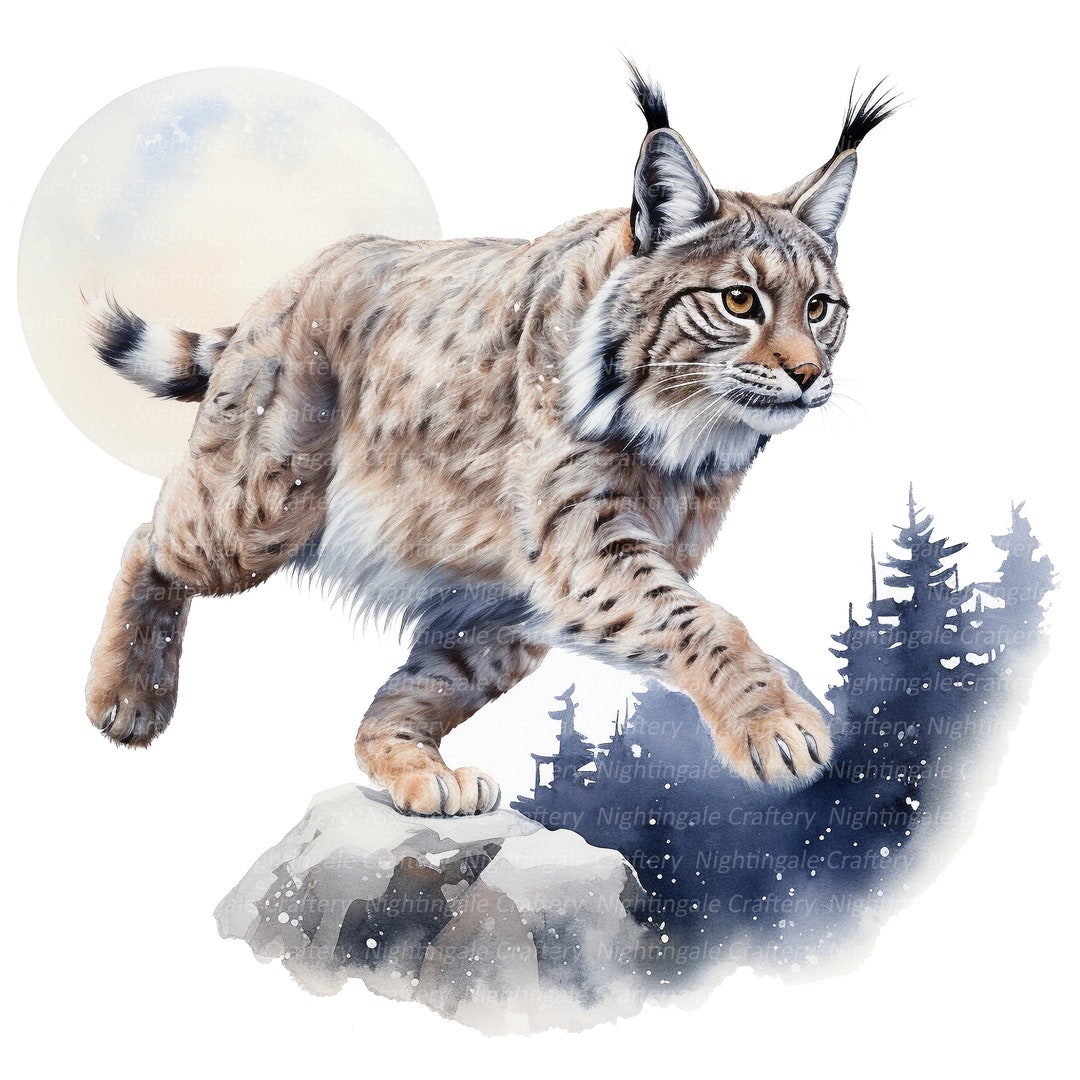 Lynx in Moonlight Clipart, Printable Watercolor Clipart, 10 High ...