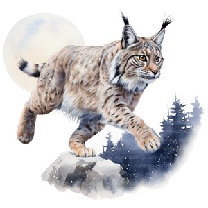 Lynx in Moonlight Clipart, Printable Watercolor Clipart, 10 High ...