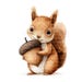 9 Cute Squirrel With Acorn Clipart, Autumn Clipart, Printable ...