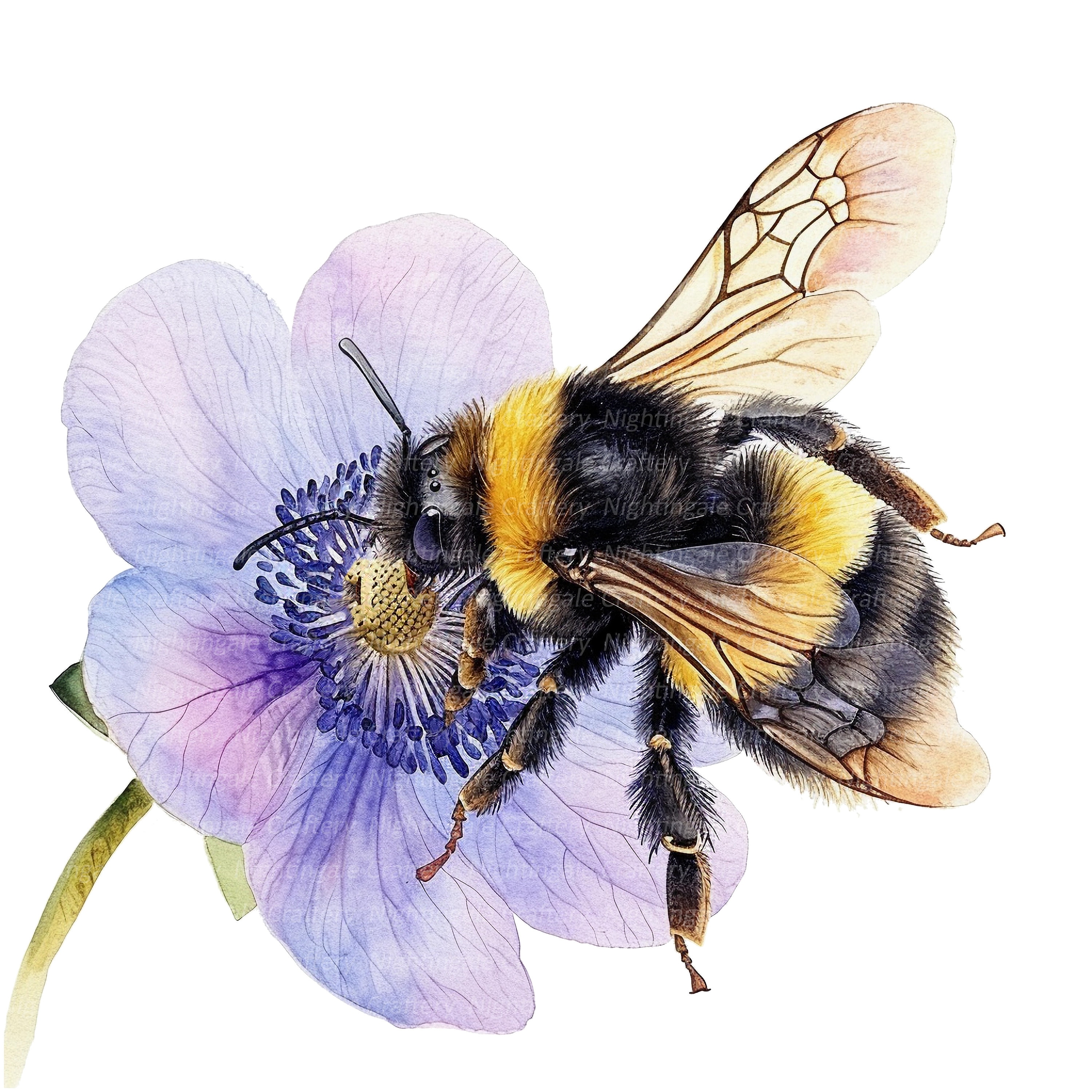 14 Bumblebee Clipart, Bumble Bee Clipart, Watercolor Bumblebee, High ...