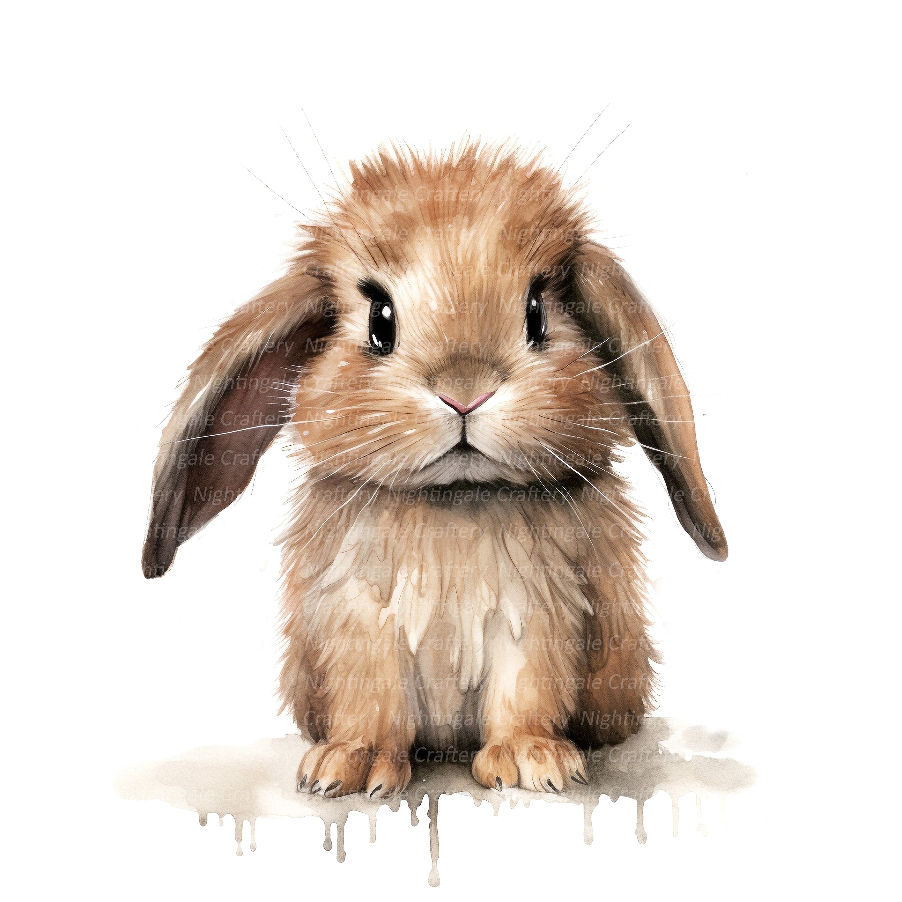 10 Sad Bunny Clipart Fluffy Rabbit Clipart Printable - Etsy UK