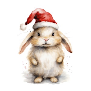 12 Fluffy Bunny Christmas Clipart, Santa Bunny, Printable Watercolor ...