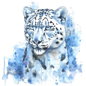 8 Snow Leopard Clipart, Blue Ink Leopard, Printable Watercolor Clipart ...