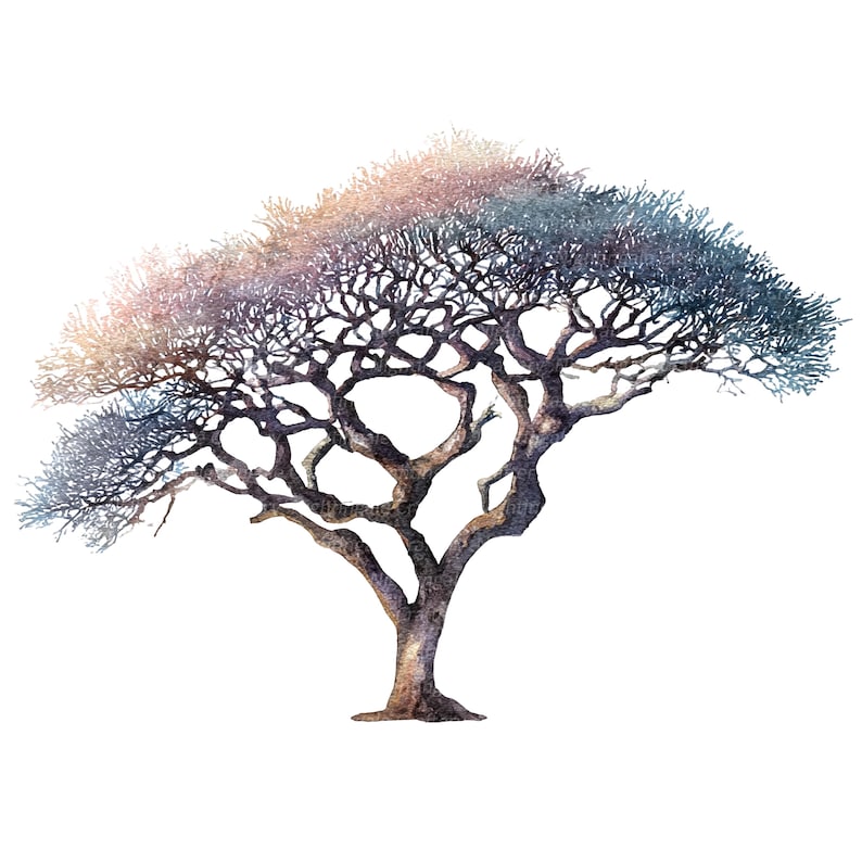 10 African Tree Clipart, Savanna Tree, Printable Watercolor Clipart ...